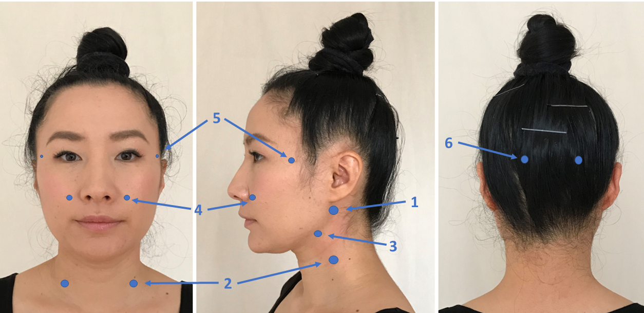 Six sets of acupoints for the eyes | Okido Yoga UK